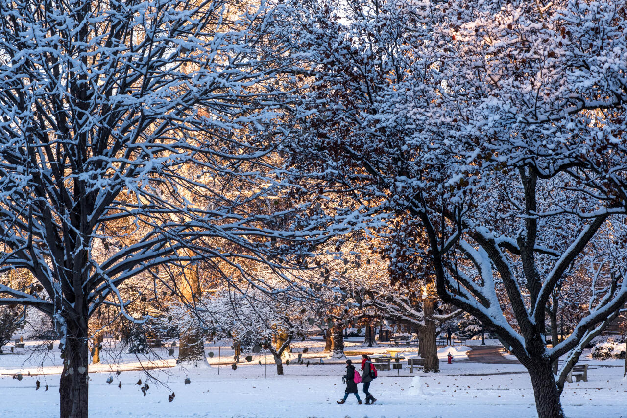 Winter Break Move-Out Tips: On and Off Campus : Office of Student Life
